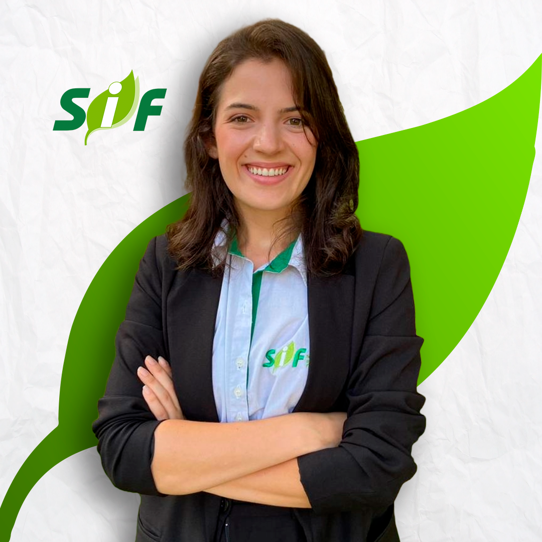 Estrutura – SIF | Sociedade de Investigações Florestais
